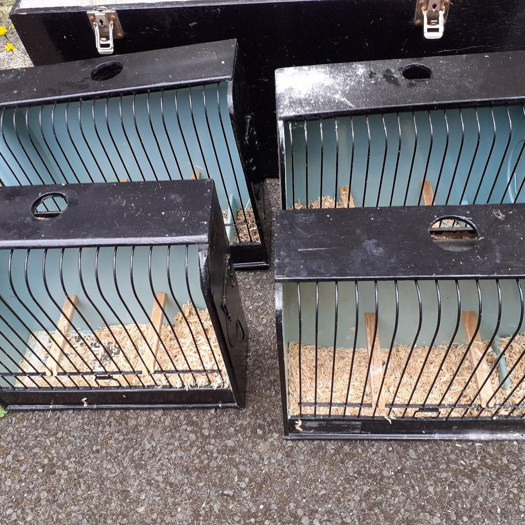 NEW COLOUR CANARY SHOW CAGES & BOX in DY9 Dudley für 55,00 £ zum ...