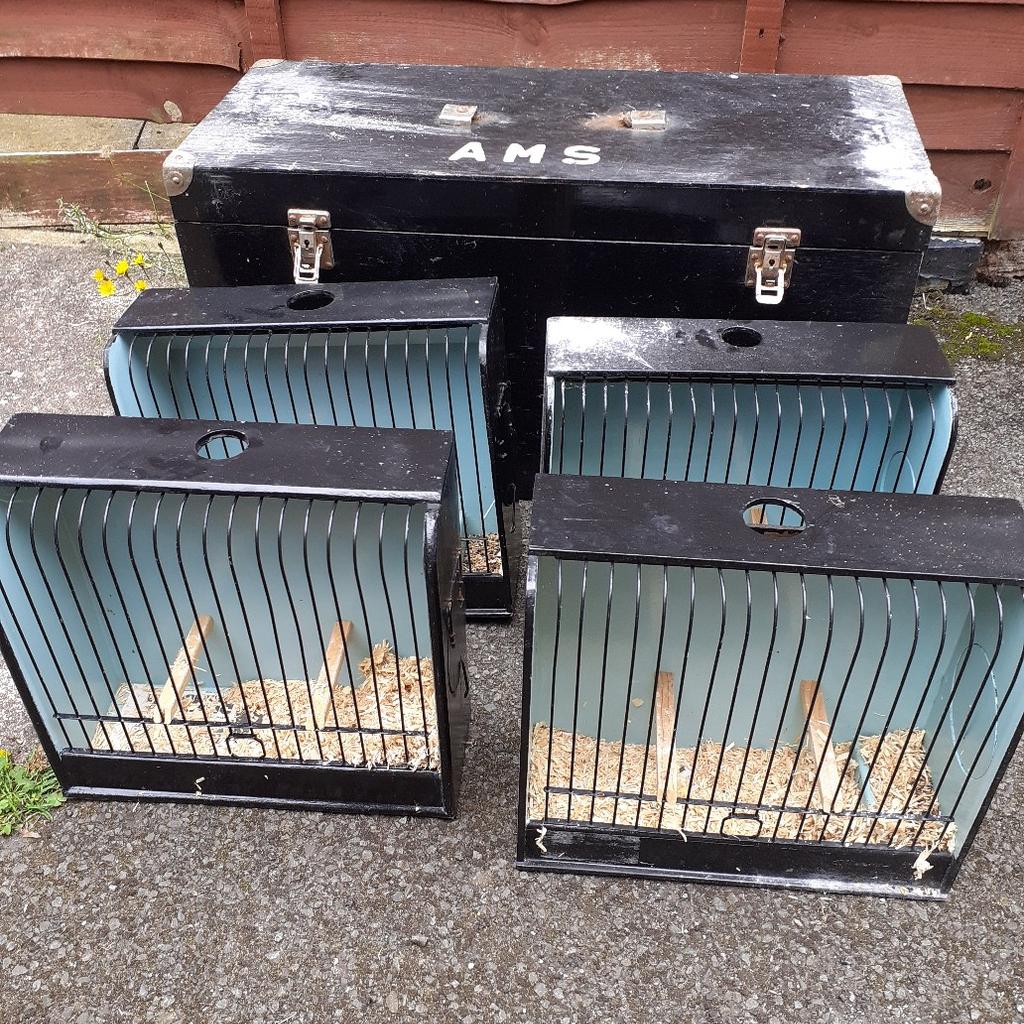 NEW COLOUR CANARY SHOW CAGES & BOX in DY9 Dudley für 55,00 £ zum ...