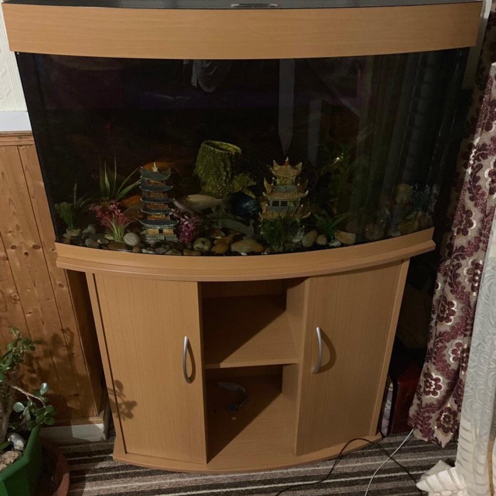 Big fish tank in W4 London für £ 130,00 zum Verkauf | Shpock AT