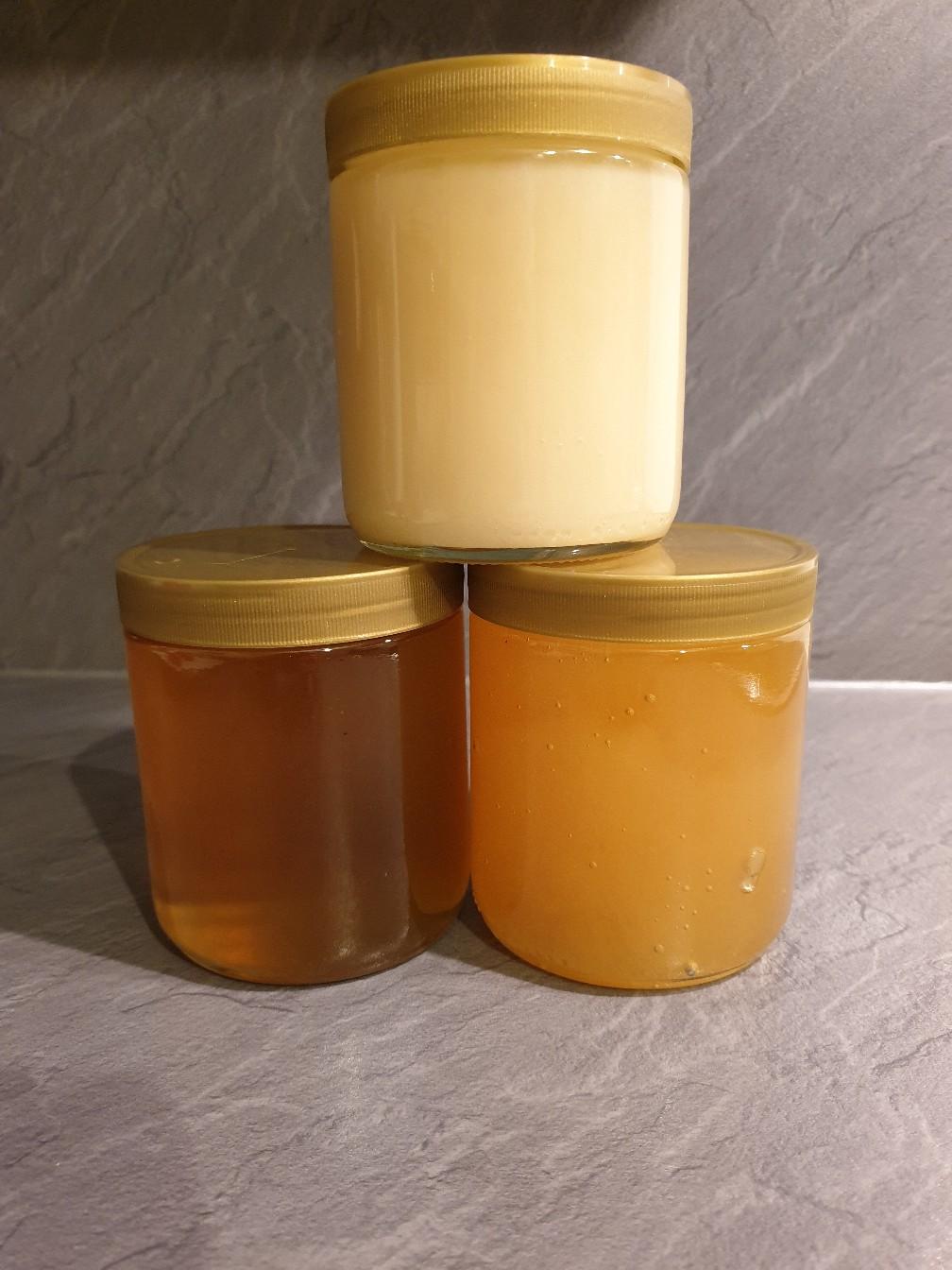 Verkaufe Bienenhonig aus eigener Imkerei in 55469 Simmern/Hunsrück for ...