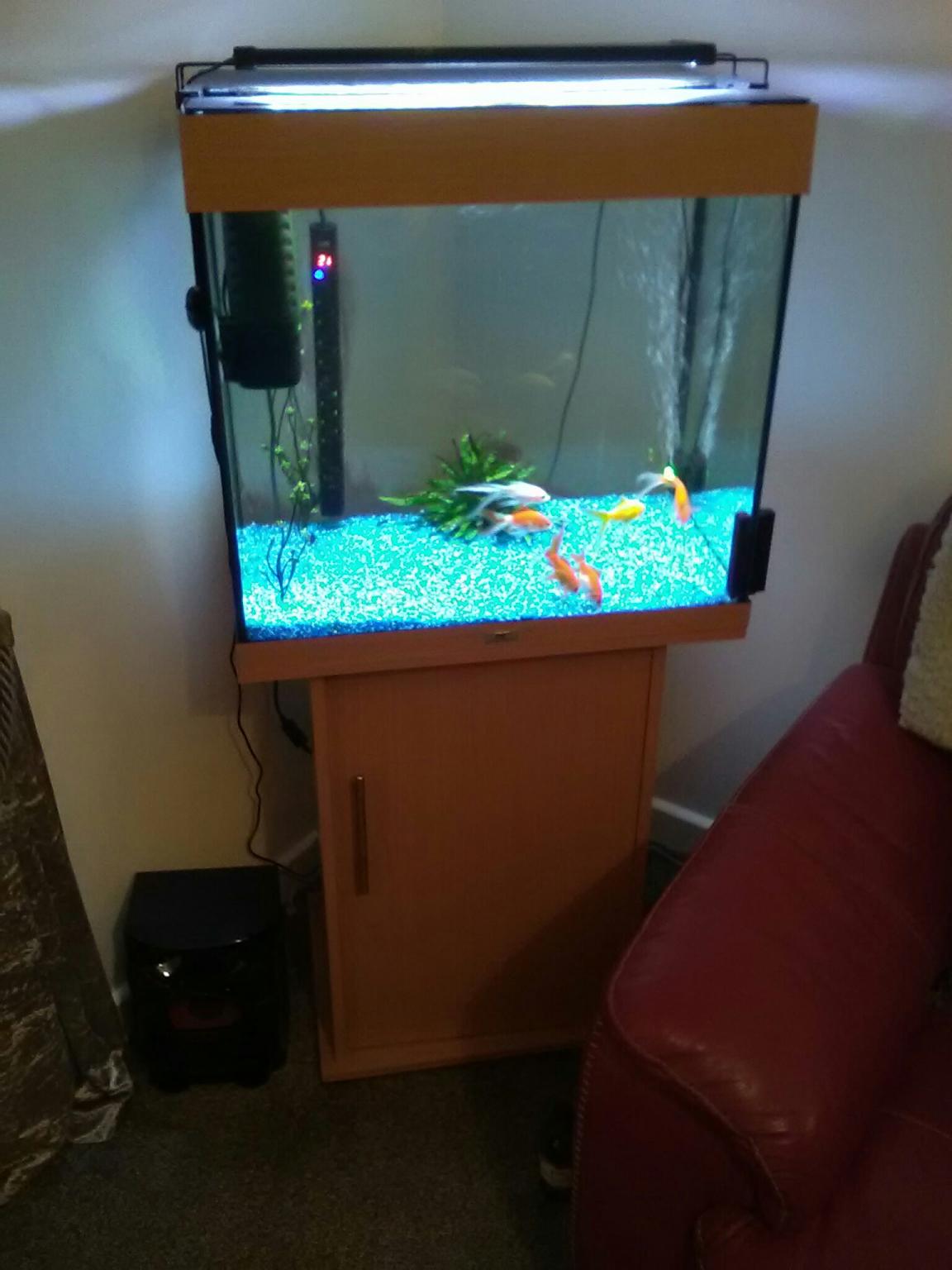 200 litre fish tank in CF81 Bargoed für 100,00 £ zum Verkauf | Shpock DE