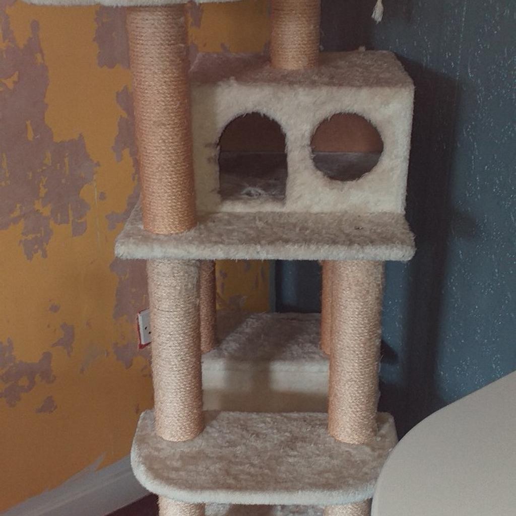 cat tree in WF17 Kirklees für £ 20,00 zum Verkauf | Shpock AT