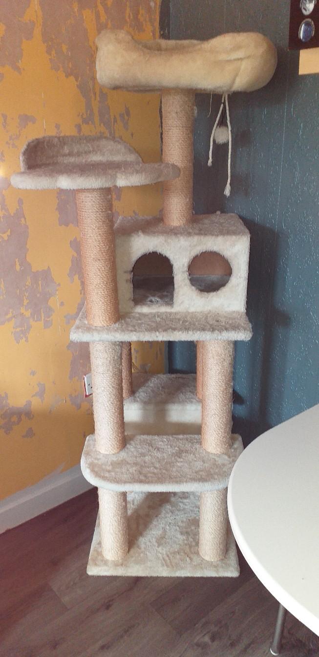 cat tree in WF17 Kirklees für £ 20,00 zum Verkauf | Shpock AT