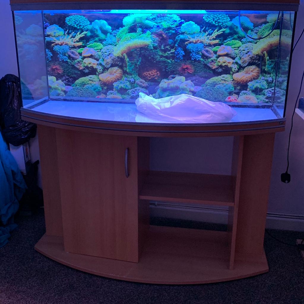 4 foot fish tank in Walsall for £260.00 for sale | Shpock