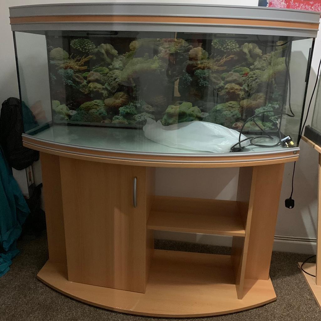4 foot fish tank in Walsall for £260.00 for sale | Shpock