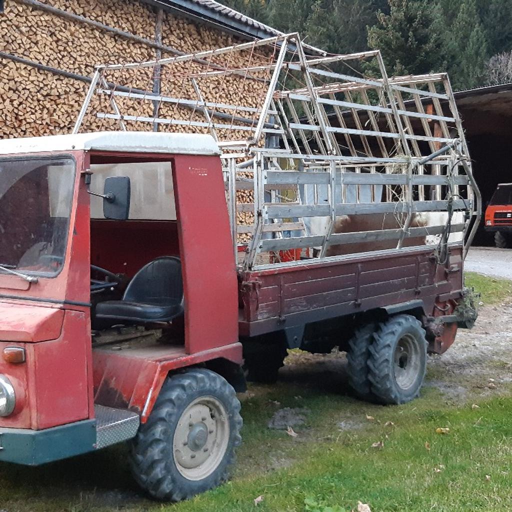 Reform Muli 40 in 6293 Gemeinde Tux für € 3.000,00 zum Verkauf | Shpock AT