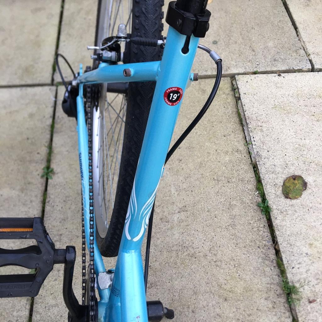 Apollo unisex mountain bike 🌲🎁🛍💝 in PR2 Preston für 30,00 £ zum Verkauf ...