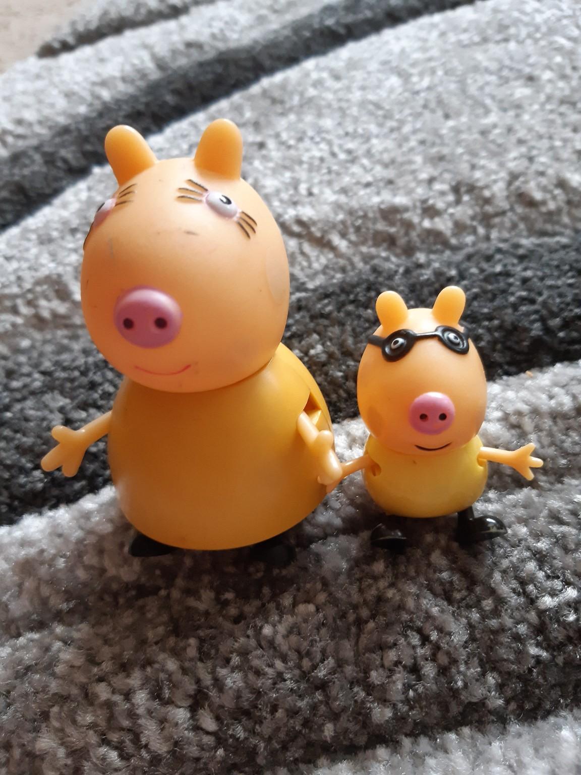 Pedro pony, Suzie sheep and Rebecca rabbit in North West Leicestershire ...