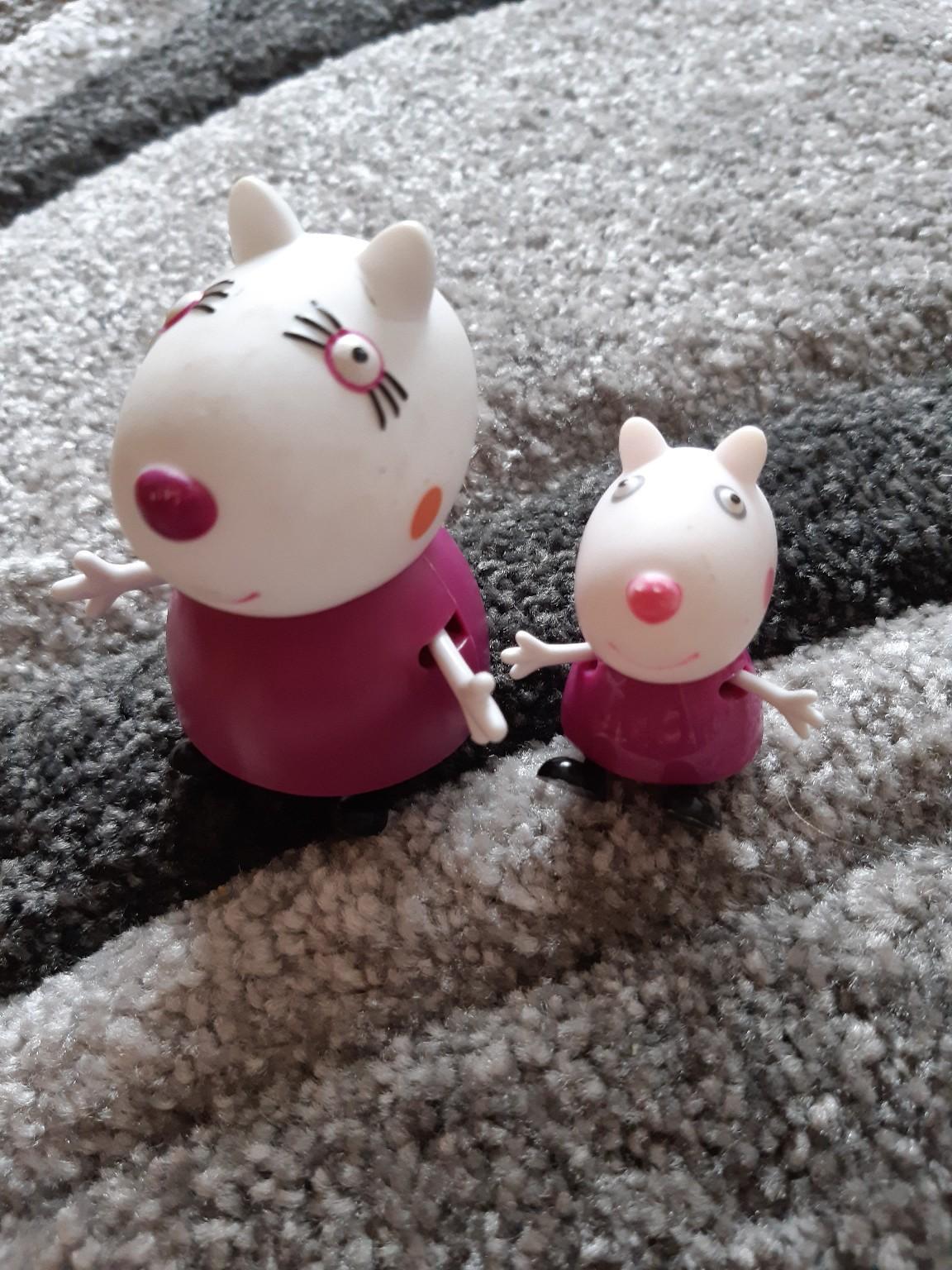 Pedro pony, Suzie sheep and Rebecca rabbit in North West Leicestershire ...