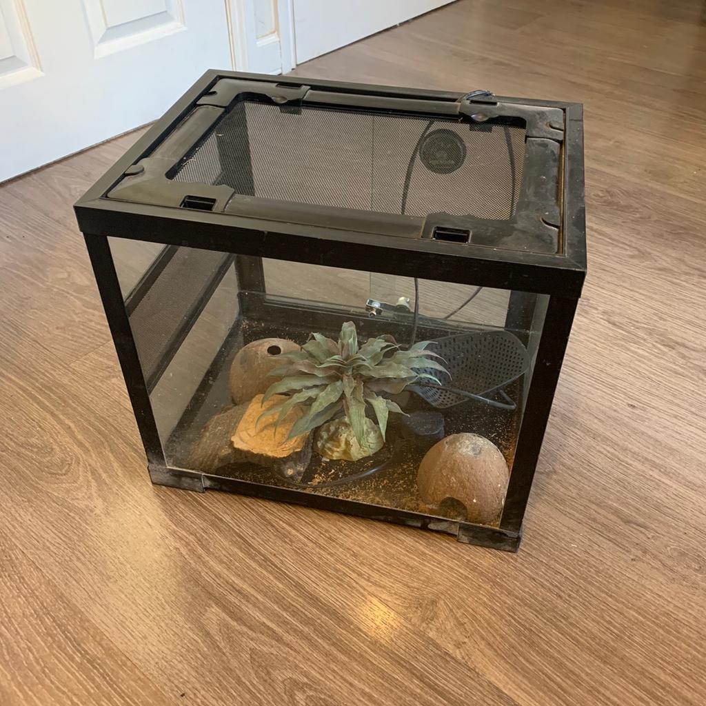 Vivarium in WV14 Wolverhampton for £20.00 for sale | Shpock