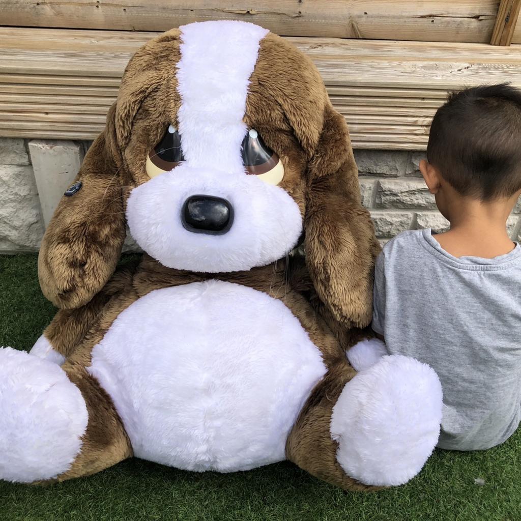Giant 60cm sad sam teddy in B71 Sandwell for £8.00 for sale | Shpock