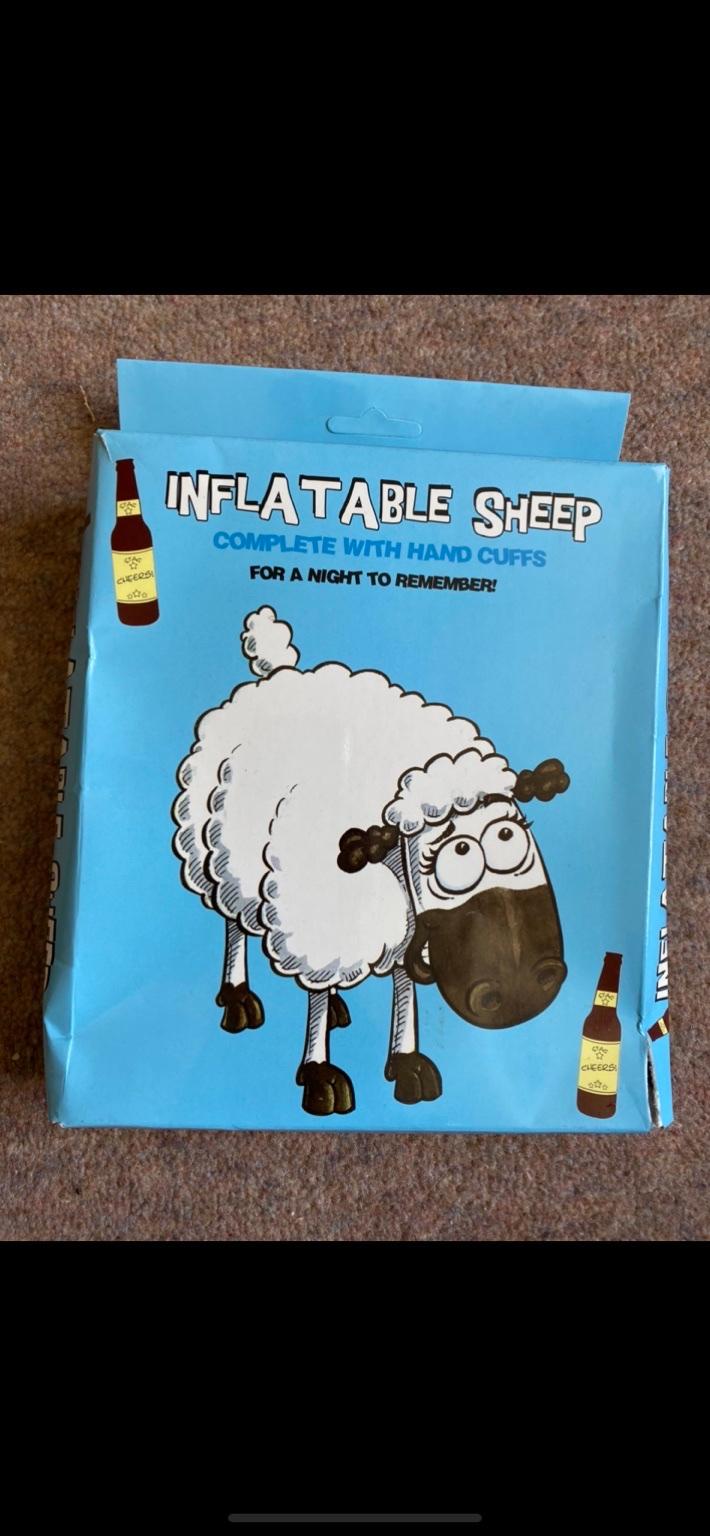 Inflatable sheep in RH14 Chichester for £3.00 for sale | Shpock