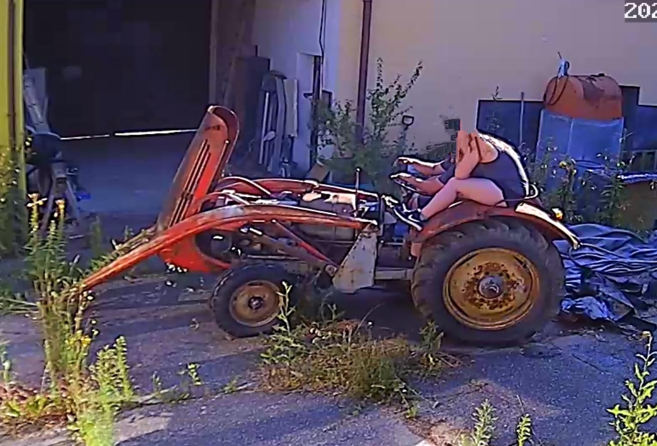 Steyr T188 (28er) Traktor in 3443 Gemeinde Sieghartskirchen für € 4.300 ...