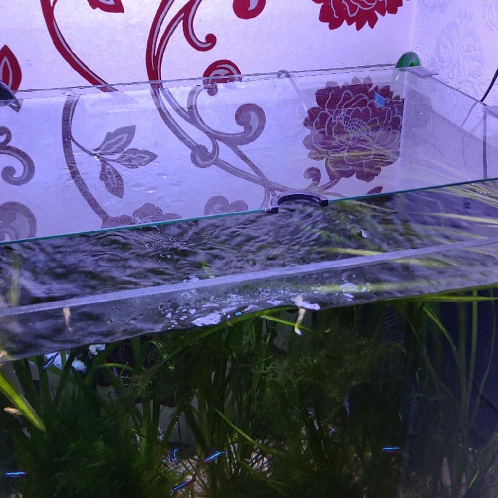 Aqua One AquaSys 150 ADA Style TMC Aquascapin in Oldham for £180.00 for sale | Shpock