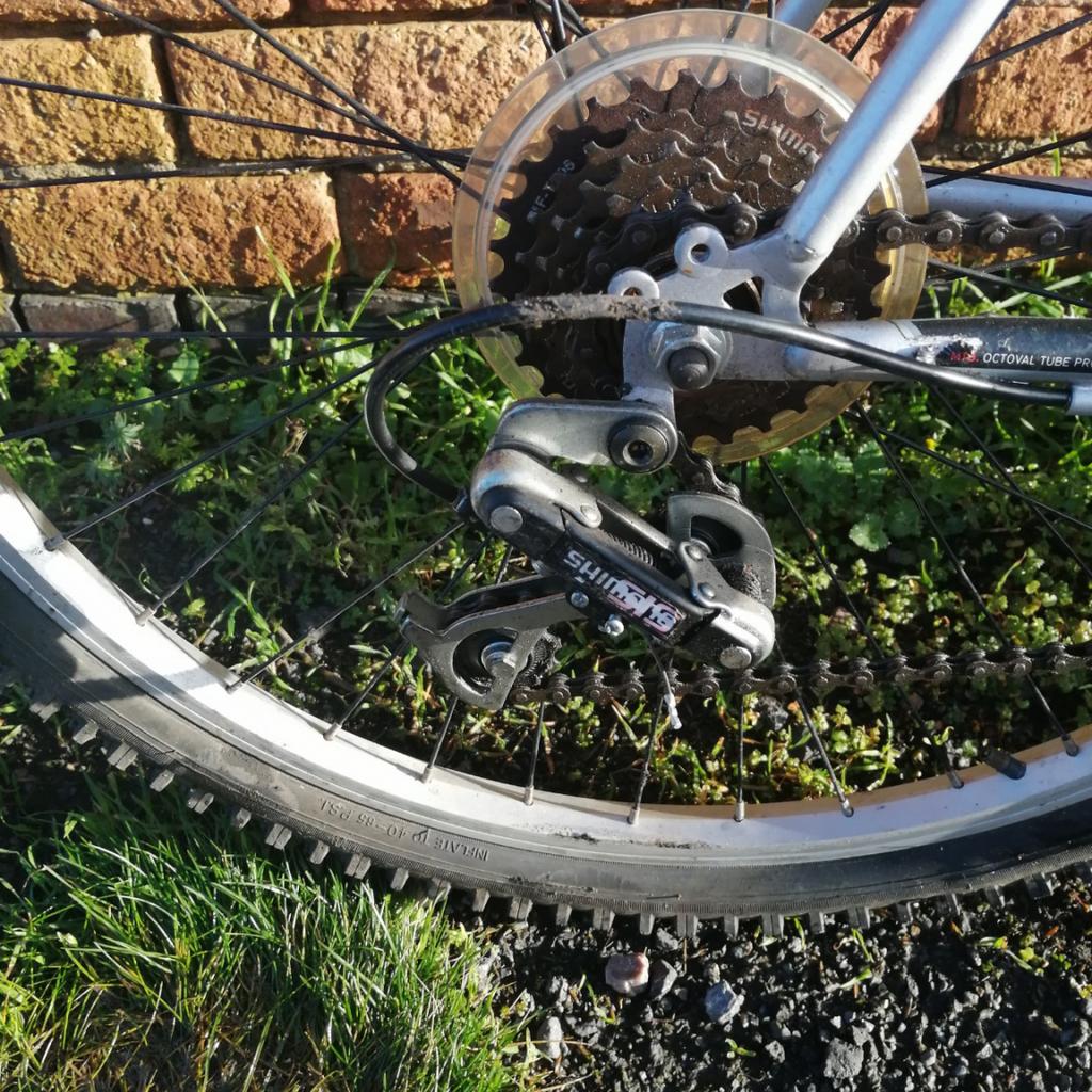 Raleigh men's mountain bike in Hinckley and Bosworth für 60,00 £ zum ...