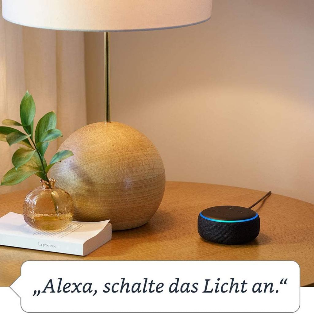 2 Alexa Getrennt Nutzen