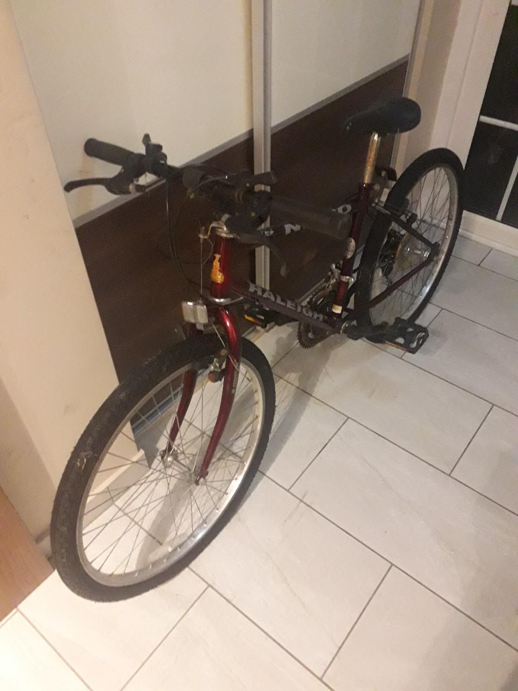 Raleigh Nitro Boys Mountain Bike in RG22 Basingstoke für 15,00 £ zum ...