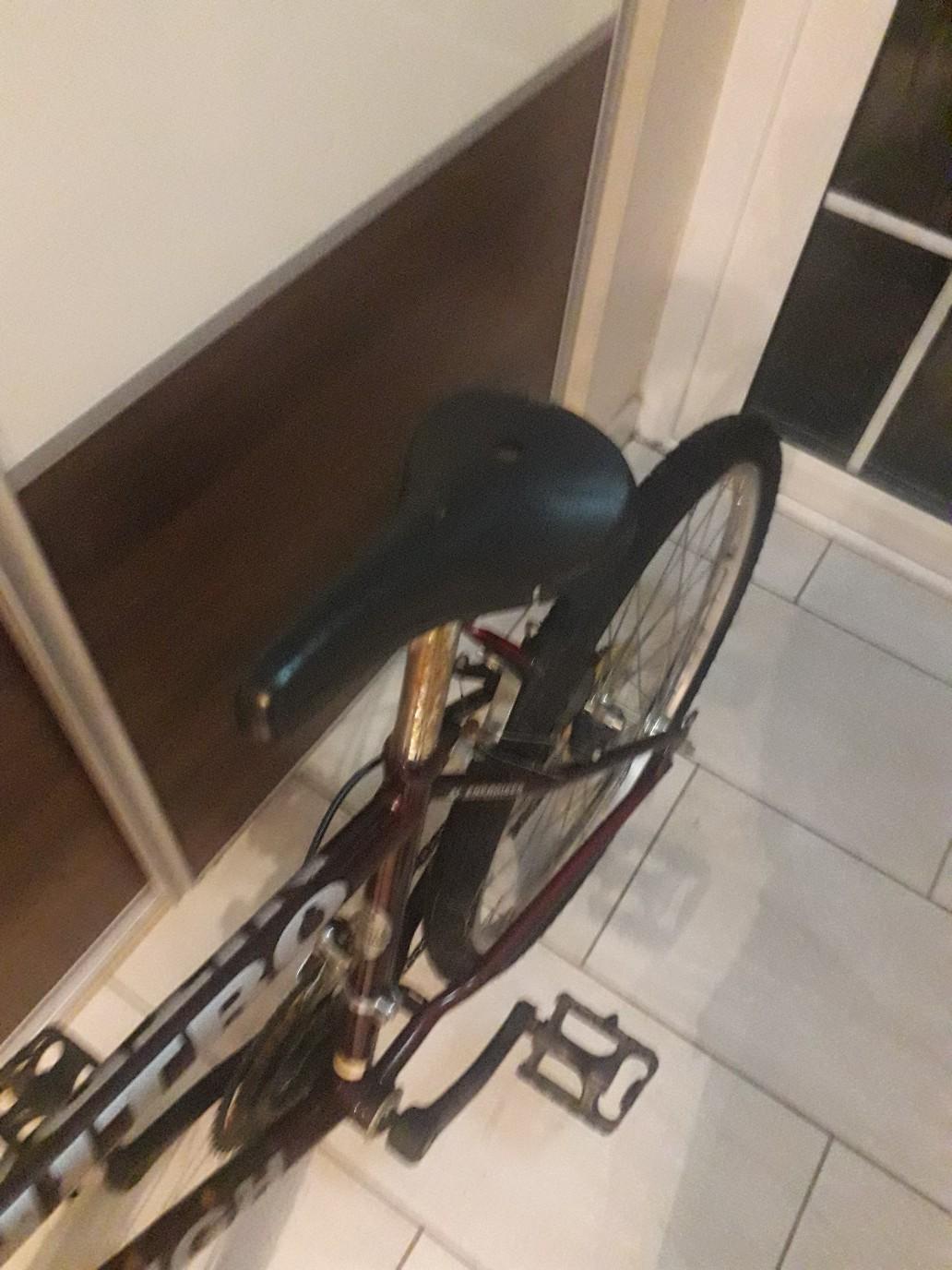 Raleigh Nitro Boys Mountain Bike in RG22 Basingstoke für 15,00 £ zum ...