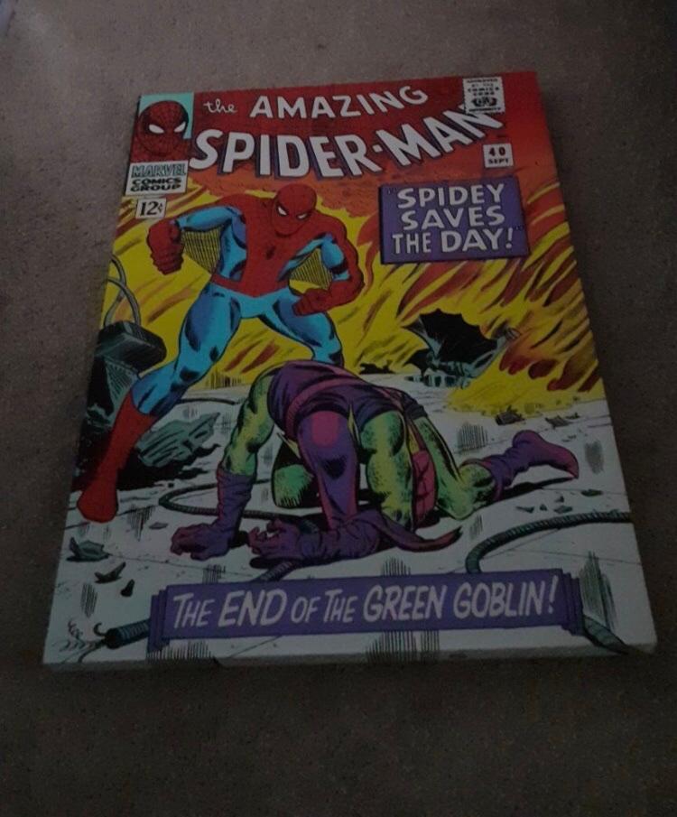 Marvel canvas in DY10 Wyre Forest für 10,00 £ zum Verkauf | Shpock DE