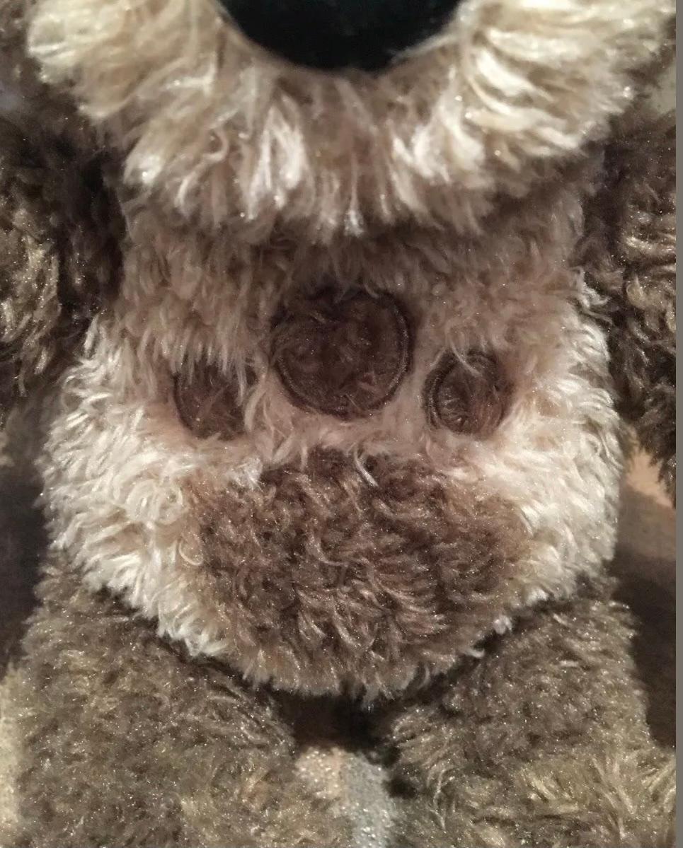 Vgcd talking charlie bear from CBeebies in Doncaster for £4.00 for sale ...