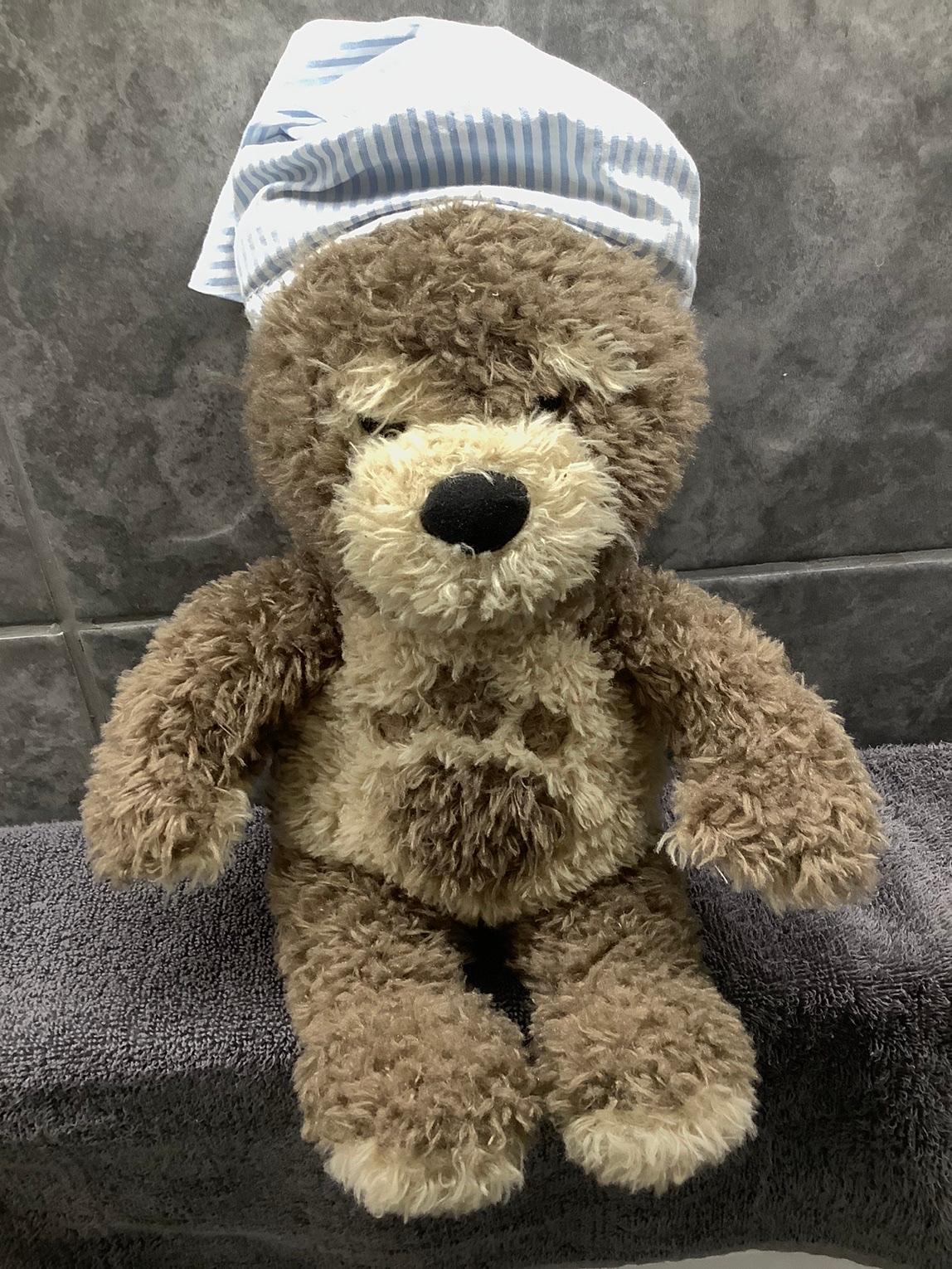 Vgcd talking charlie bear from CBeebies in Doncaster for £4.00 for sale ...