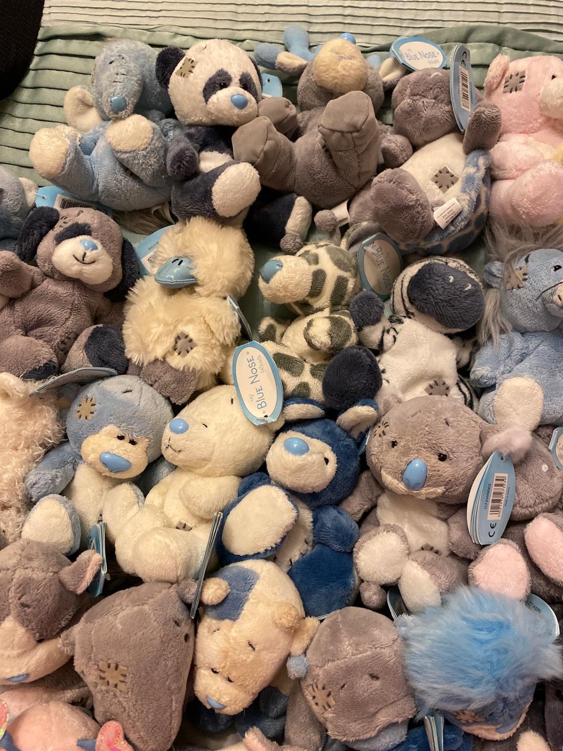 BNWT My Blue Nose friends 4” teddies in B63 Dudley for £3.00 for sale ...