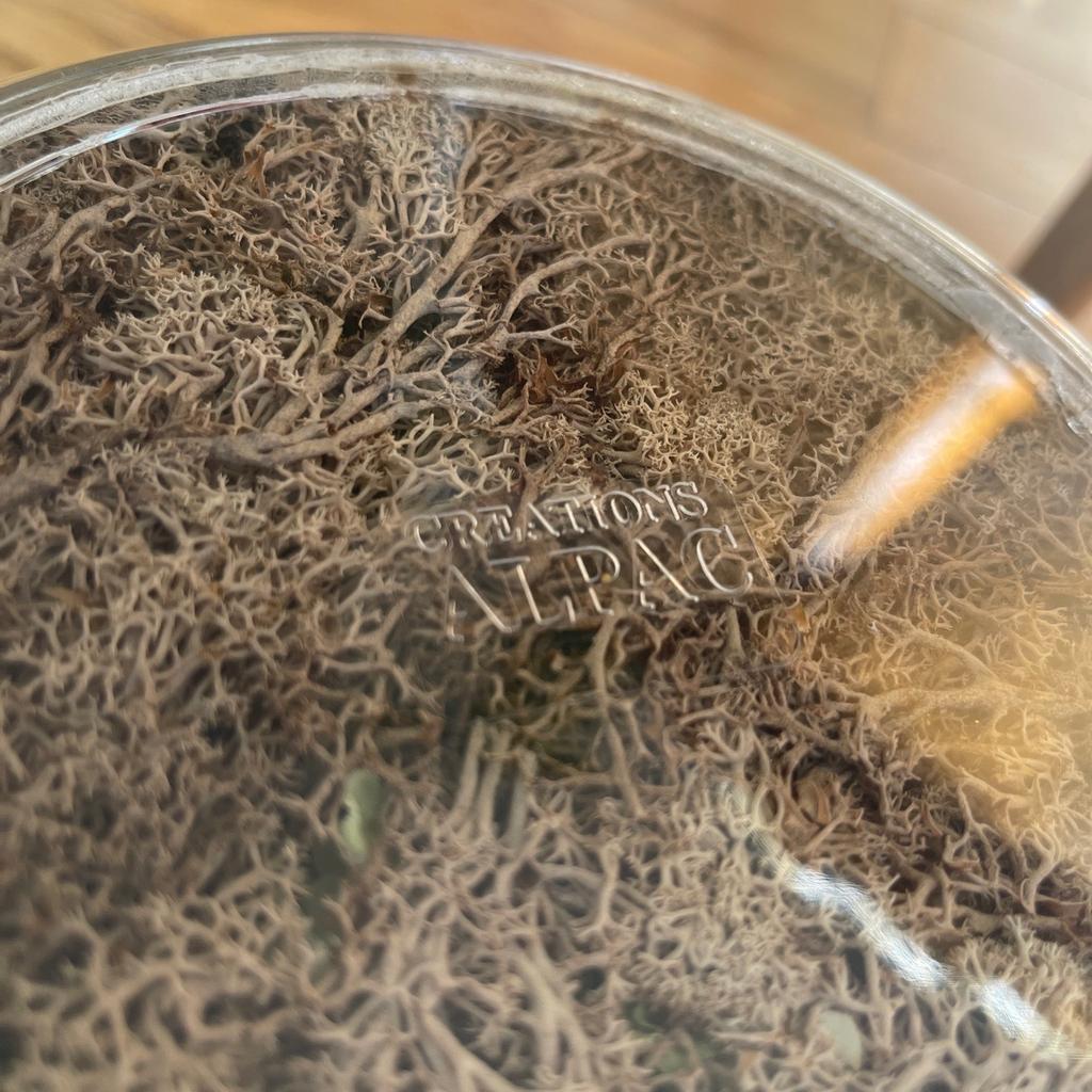 Vintage french Creations Alpac bowl&wine cool in SW10 London für 19,00 ...