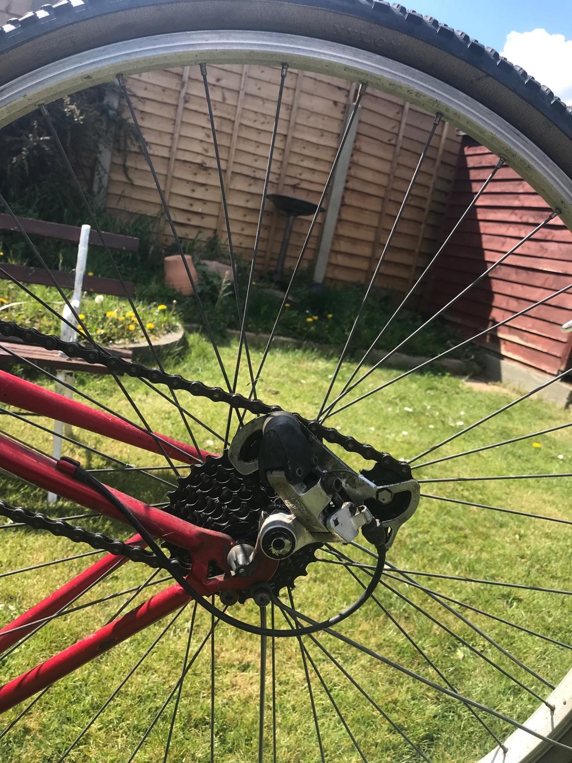 Raleigh Mountain Bike in Rochford für £ 30,00 zum Verkauf | Shpock AT