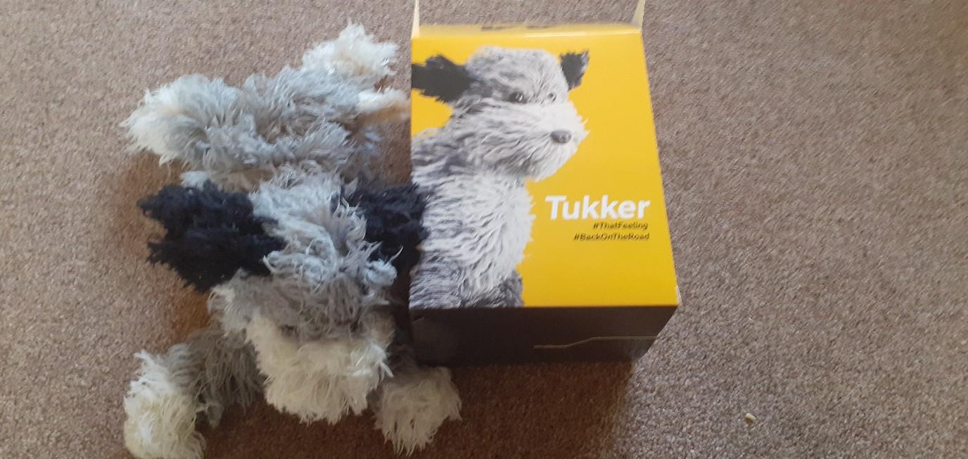 AA TUKKER DOG SOFT TOY GENUE BRAND NEW in London Borough of Bexley für ...