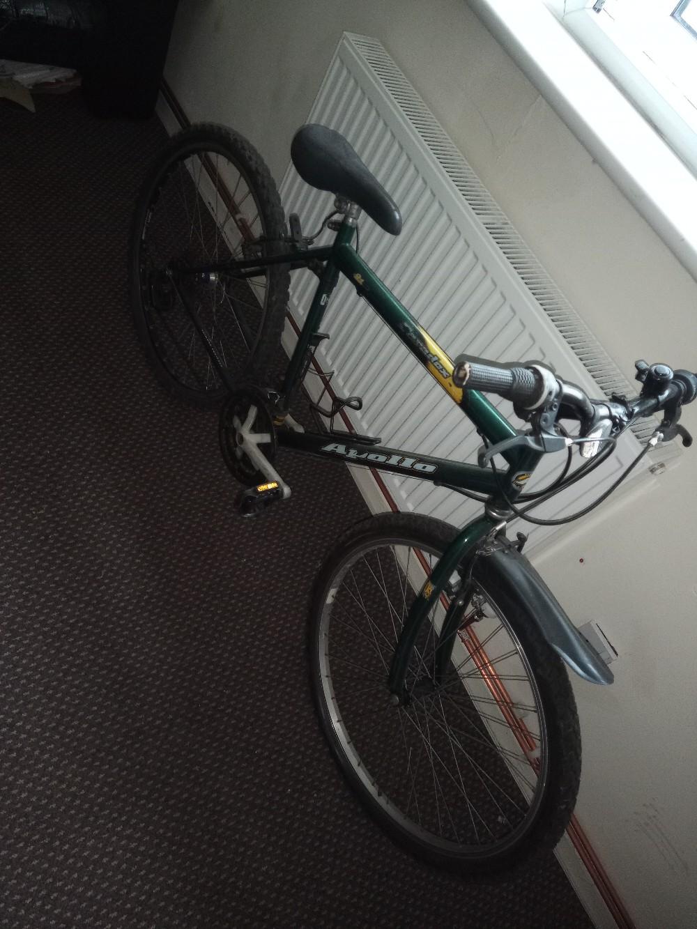 Paradox Apollo Mountain Bike in L35 Knowsley für 24,95 £ zum Verkauf ...