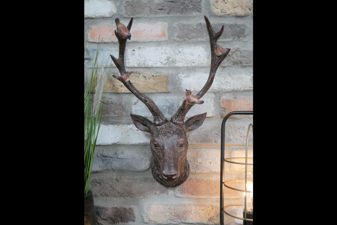 Stag Head with Birds in S62 Rotherham for £38.00 for sale | Shpock