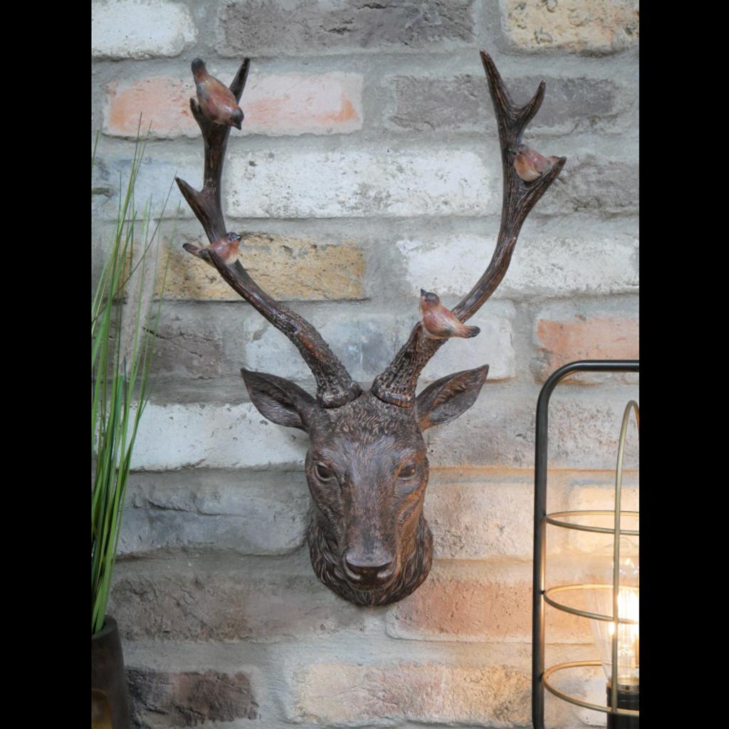 Stag Head with Birds in S62 Rotherham for £38.00 for sale | Shpock