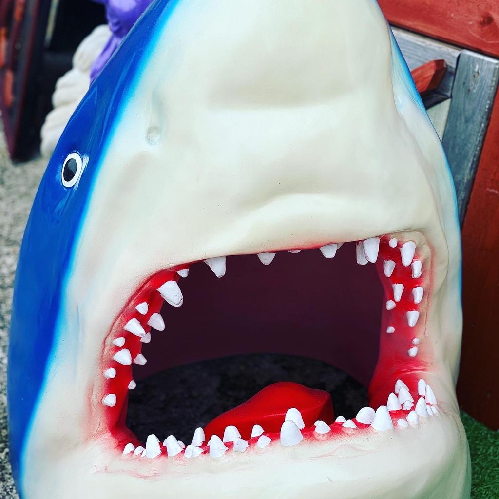 Full size fibreglass cast Shark head prop in CM22 Stortford für 225,00 ...