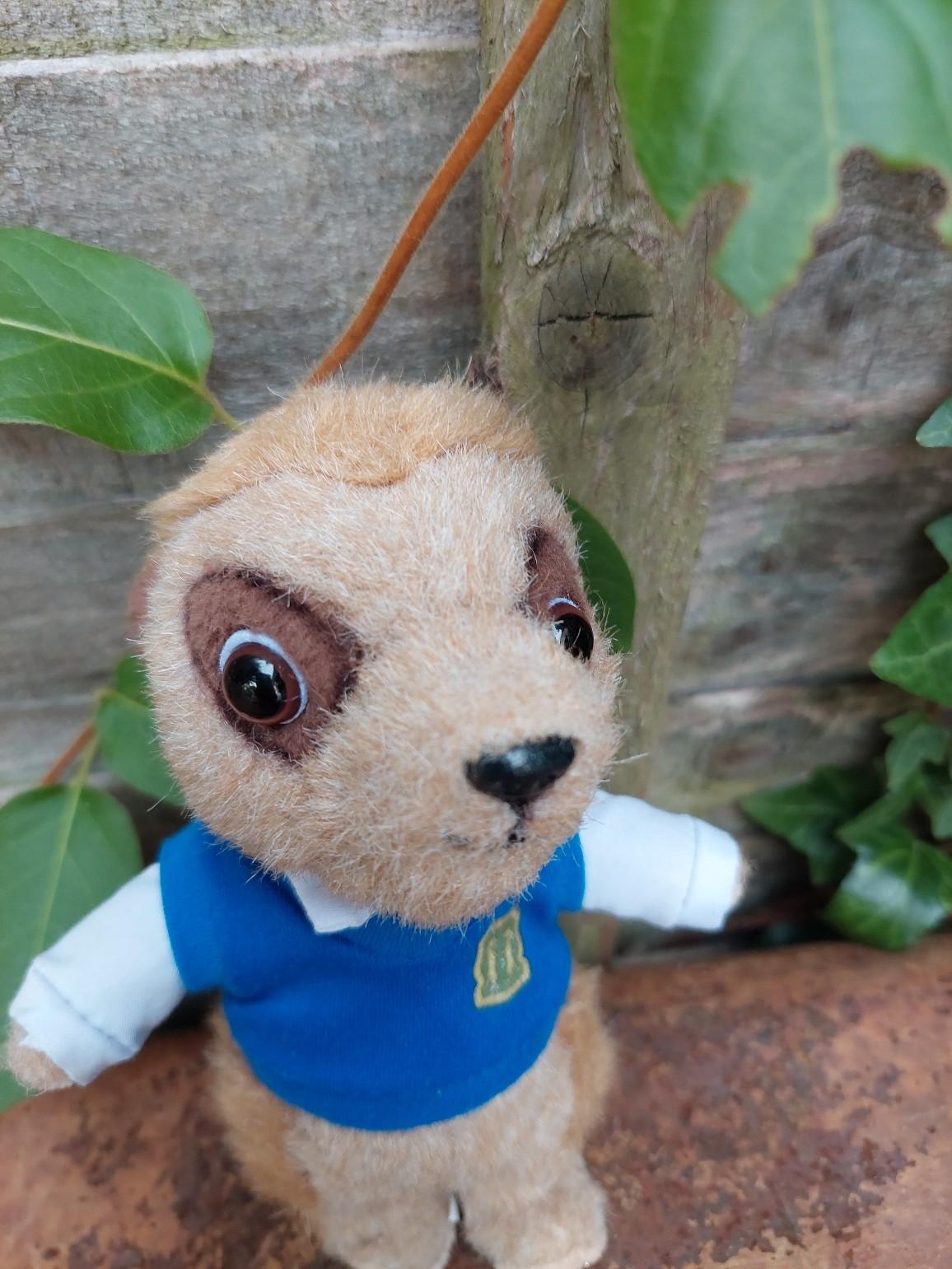 meerkat plush toy in CV3 Coventry für 3,00 £ zum Verkauf | Shpock DE