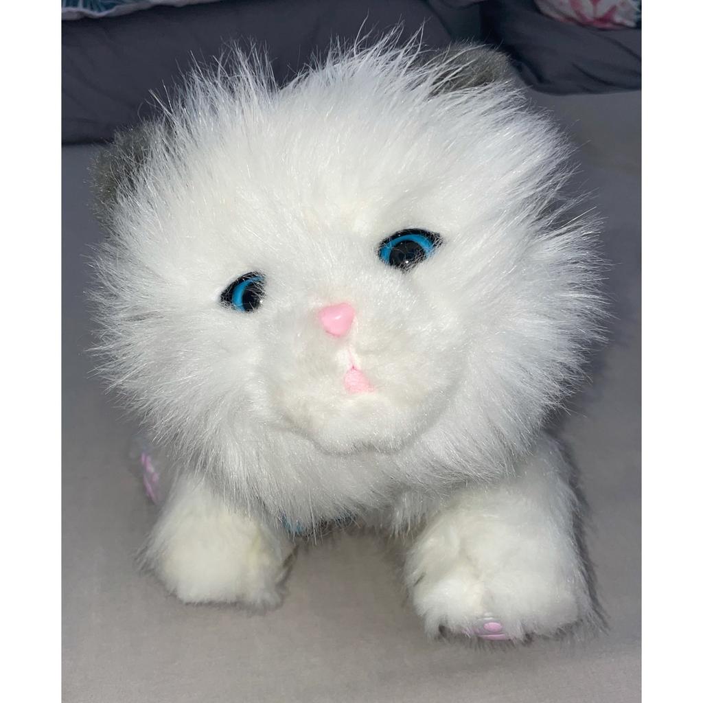 Little Live Pets White Cat in BL1 Bolton für 25,00 £ zum Verkauf ...