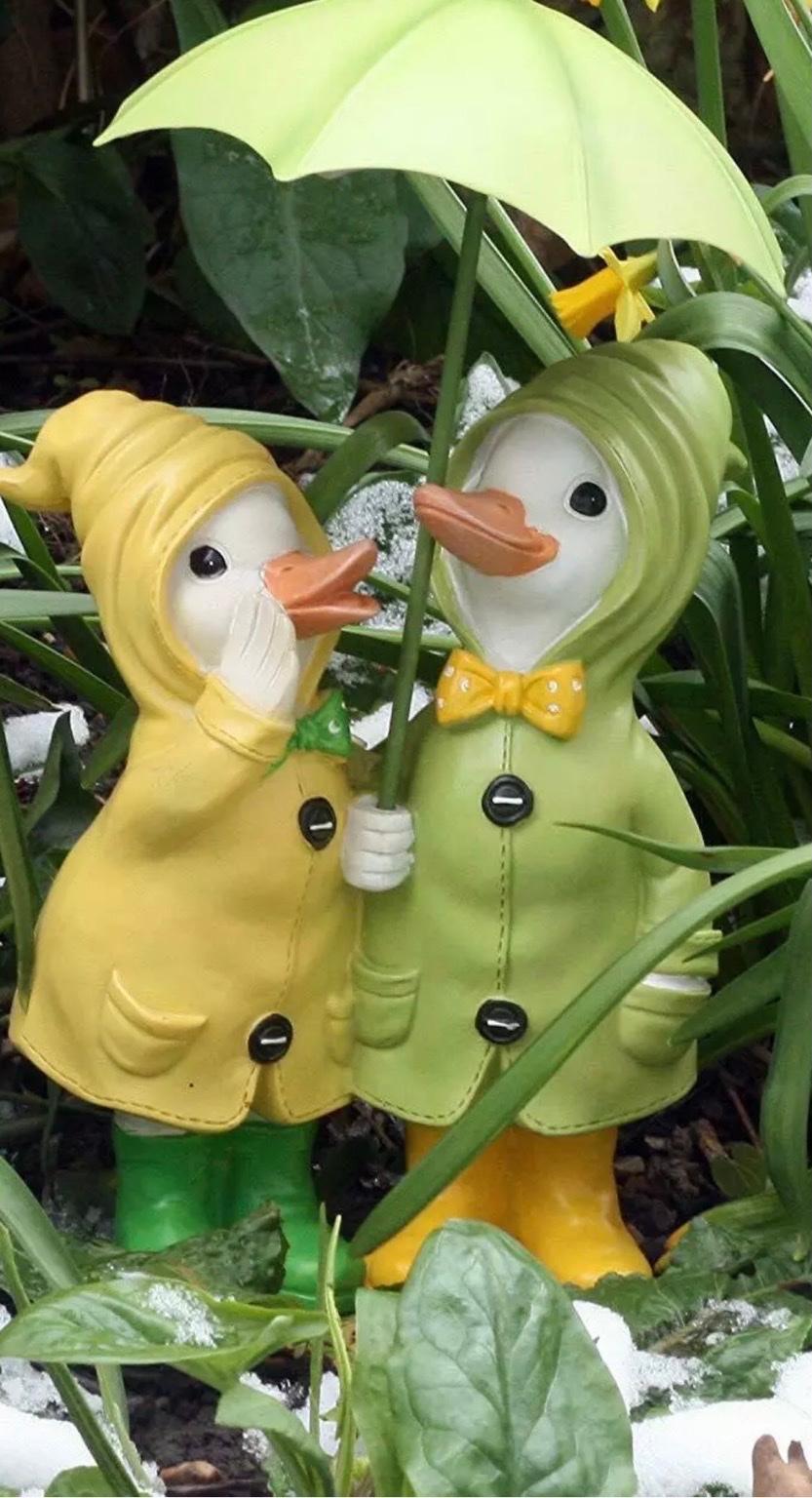 Dilly &dally puddle ducks standing umbrella in LE10 Bosworth für 18,00 ...