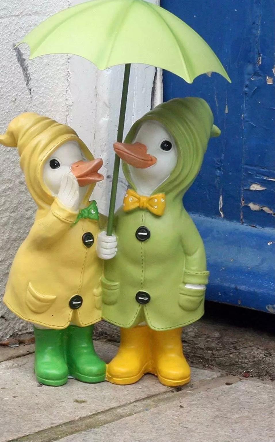 Dilly &dally puddle ducks standing umbrella in LE10 Bosworth für 18,00 ...