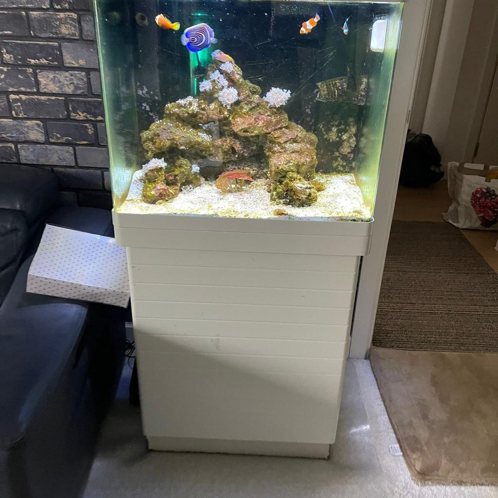 Marine Tank Red Sea 130D Max Full Setup in WD17 Watford für £ 350,00 ...