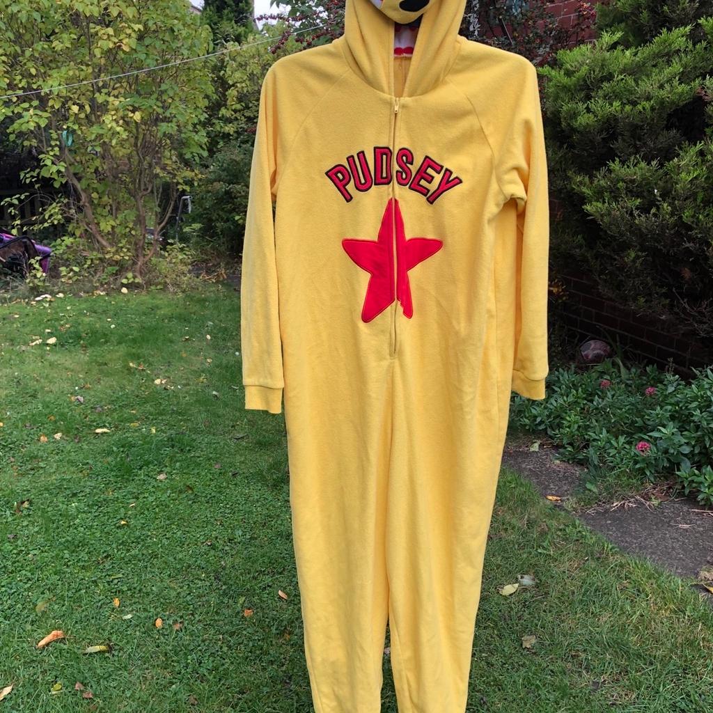 Gorgeous pudsey bear onesie M in WF12 Kirklees für 8,00 £ zum Verkauf ...