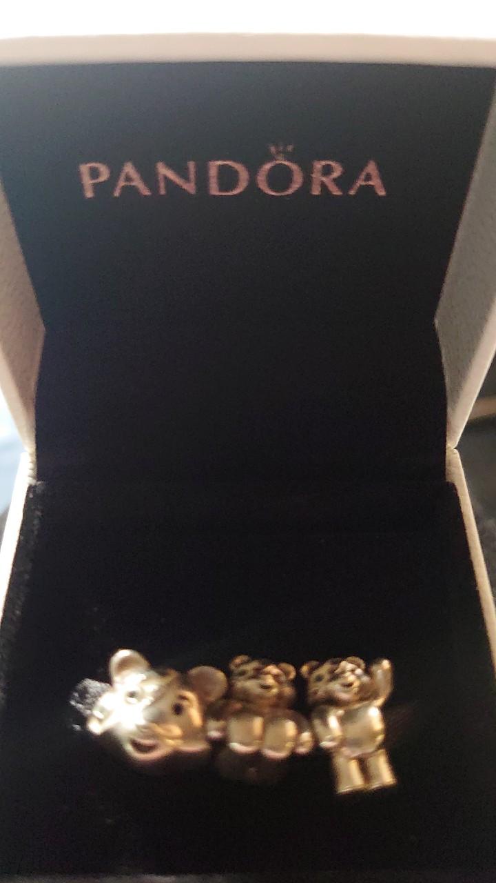 genuine Pandora Pudsey bear charms in S62 Rotherham für 35,00 £ zum ...