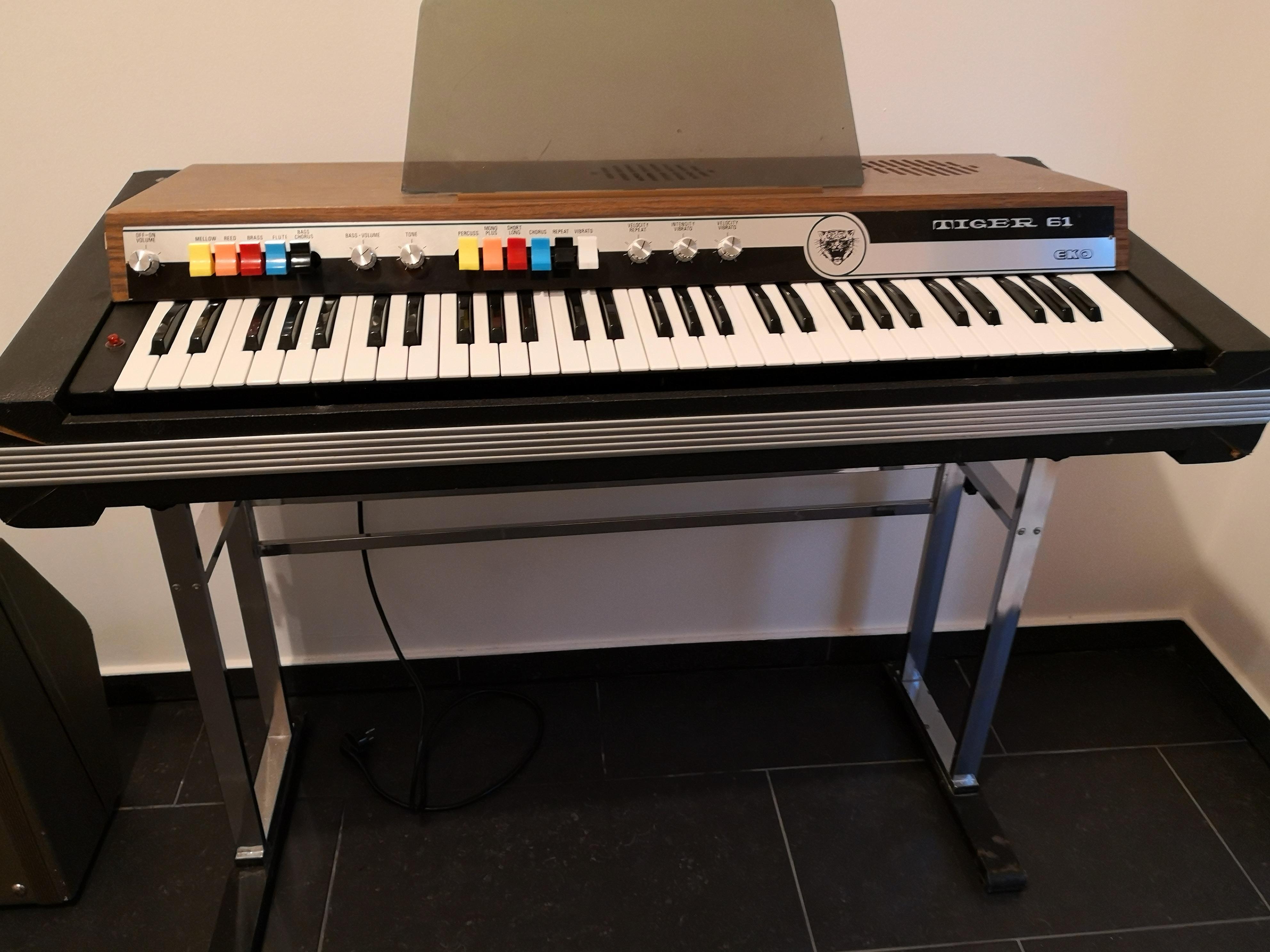 Eko Tiger 61 analoge Orgel/Keyboard in 6923 Marktgemeinde Lauterach für ...