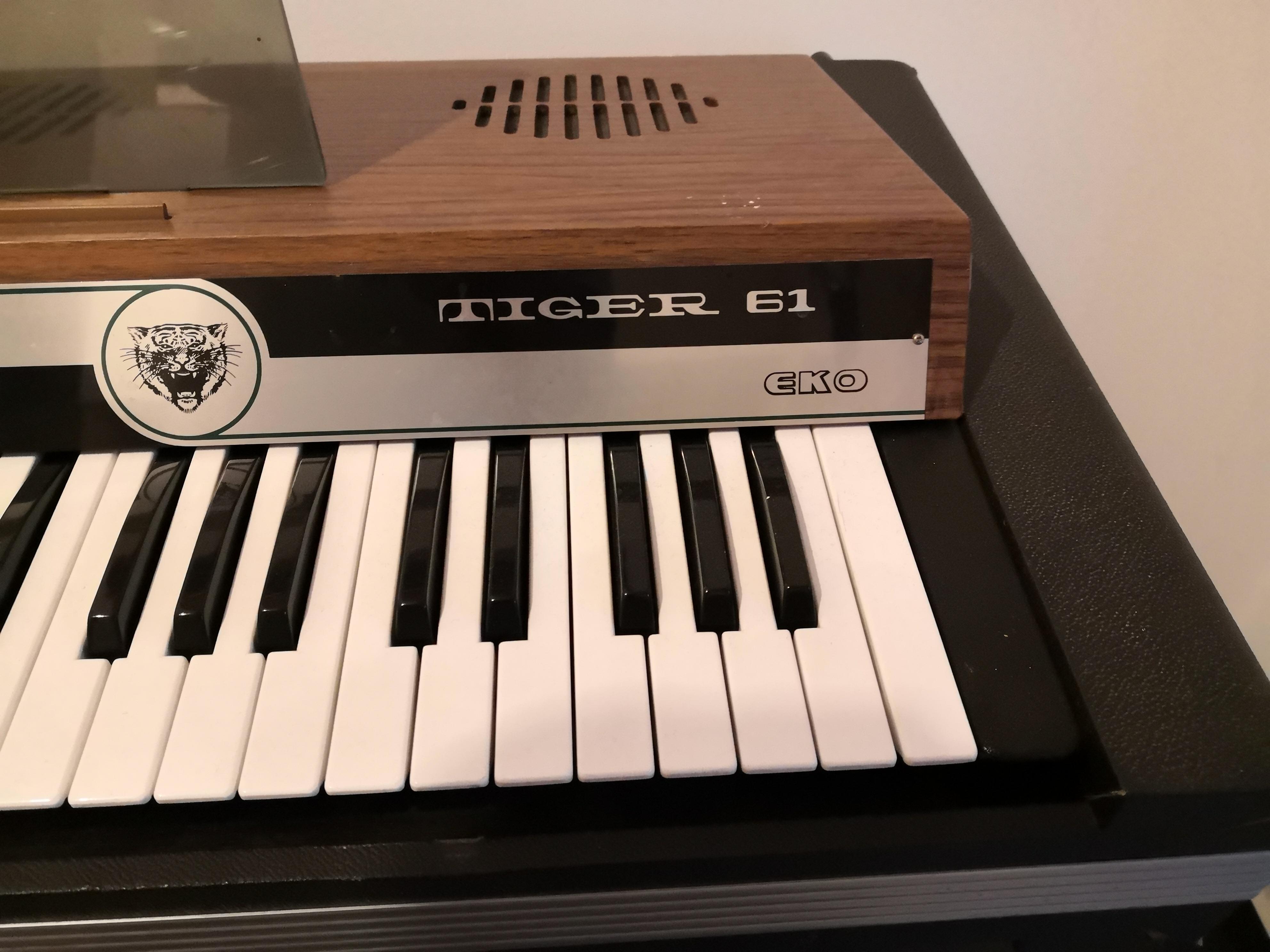 Eko Tiger 61 analoge Orgel/Keyboard in 6923 Marktgemeinde Lauterach für ...