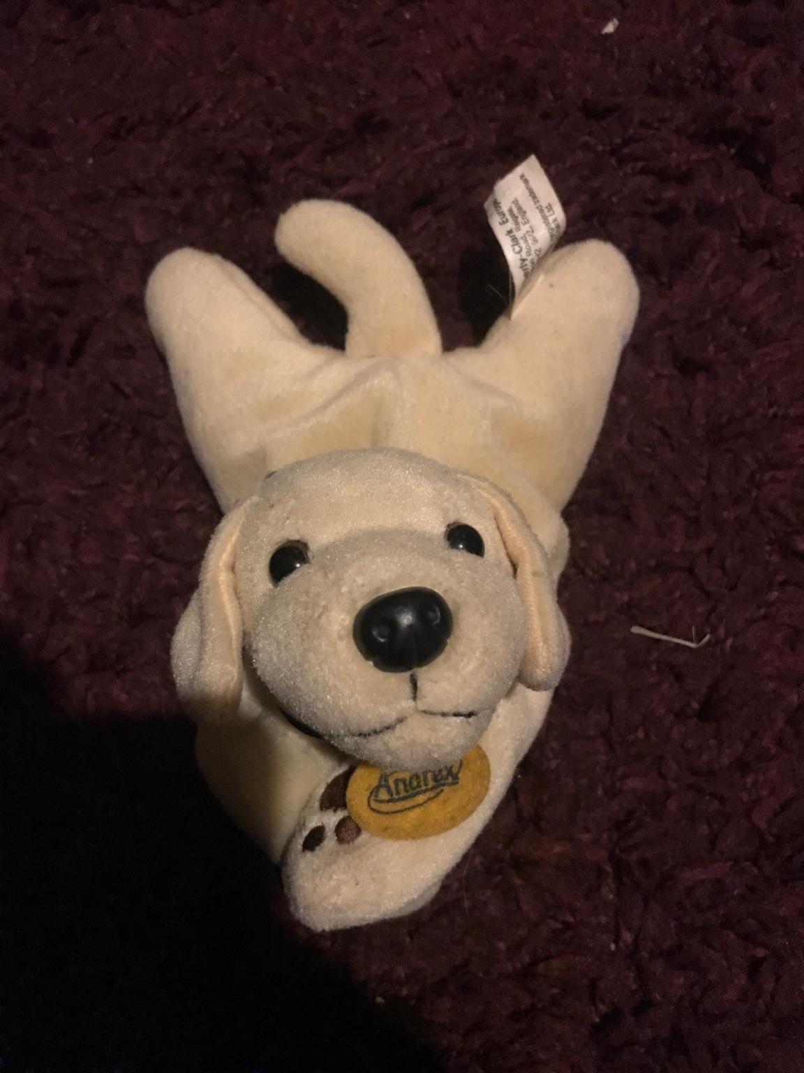 Andrex dog in WV14 Wolverhampton für £ 0,50 zum Verkauf | Shpock AT