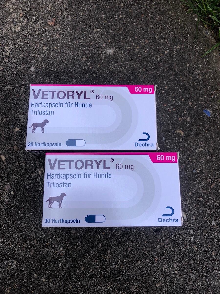 Vetoryl 60 mg in 51789 Lindlar für 85,00 € zum Verkauf | Shpock DE