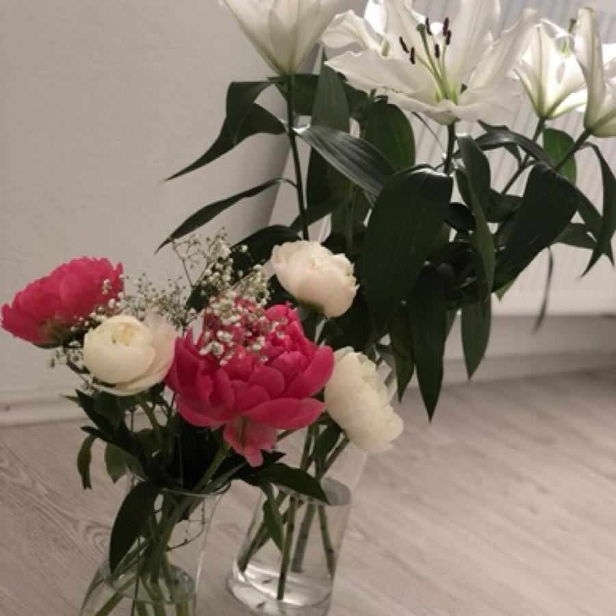 Paradies R. - Shpock