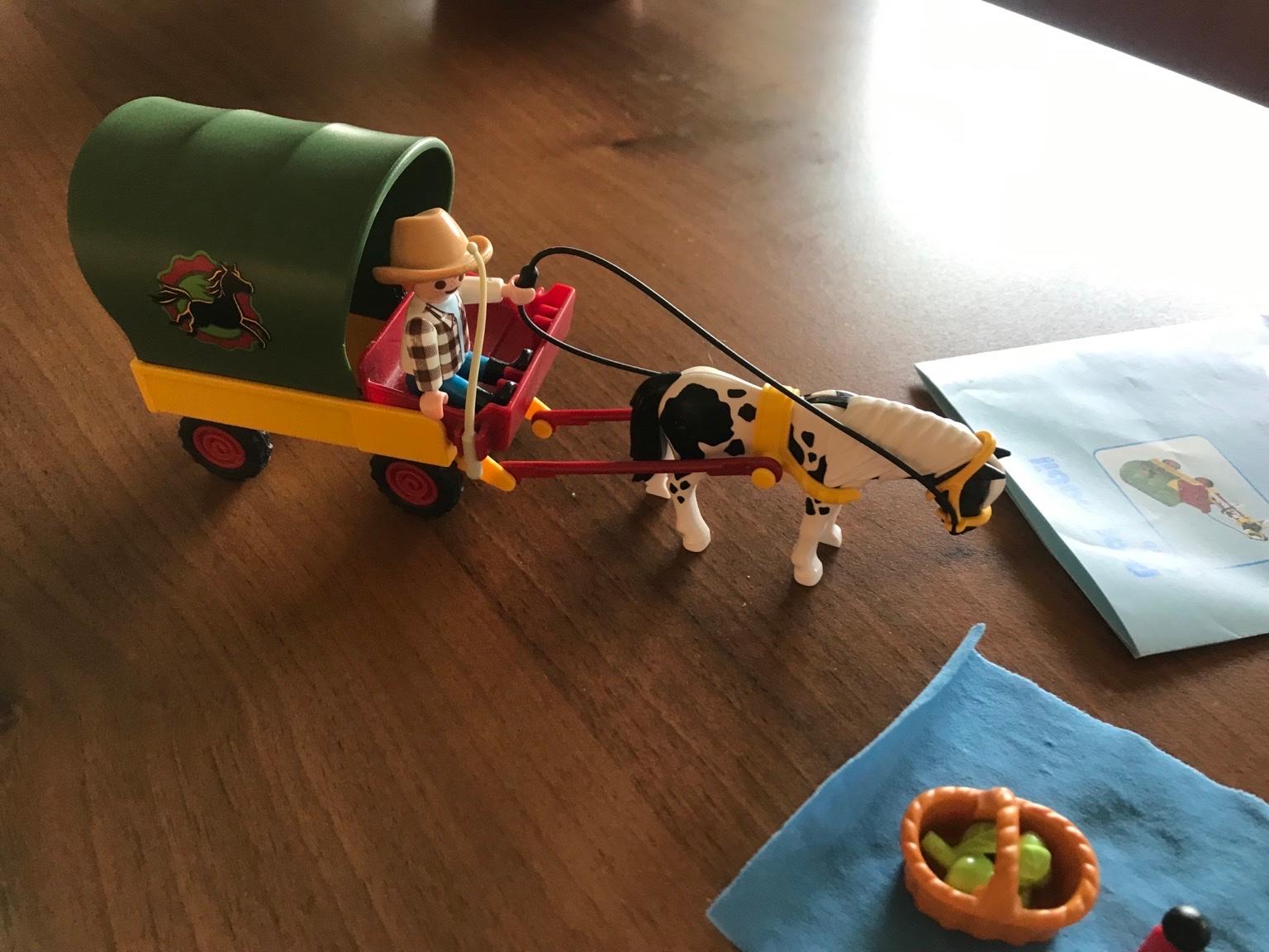 Playmobil 6948 Ausflug im Ponywagen in 6382 Gemeinde Kirchdorf in Tirol ...