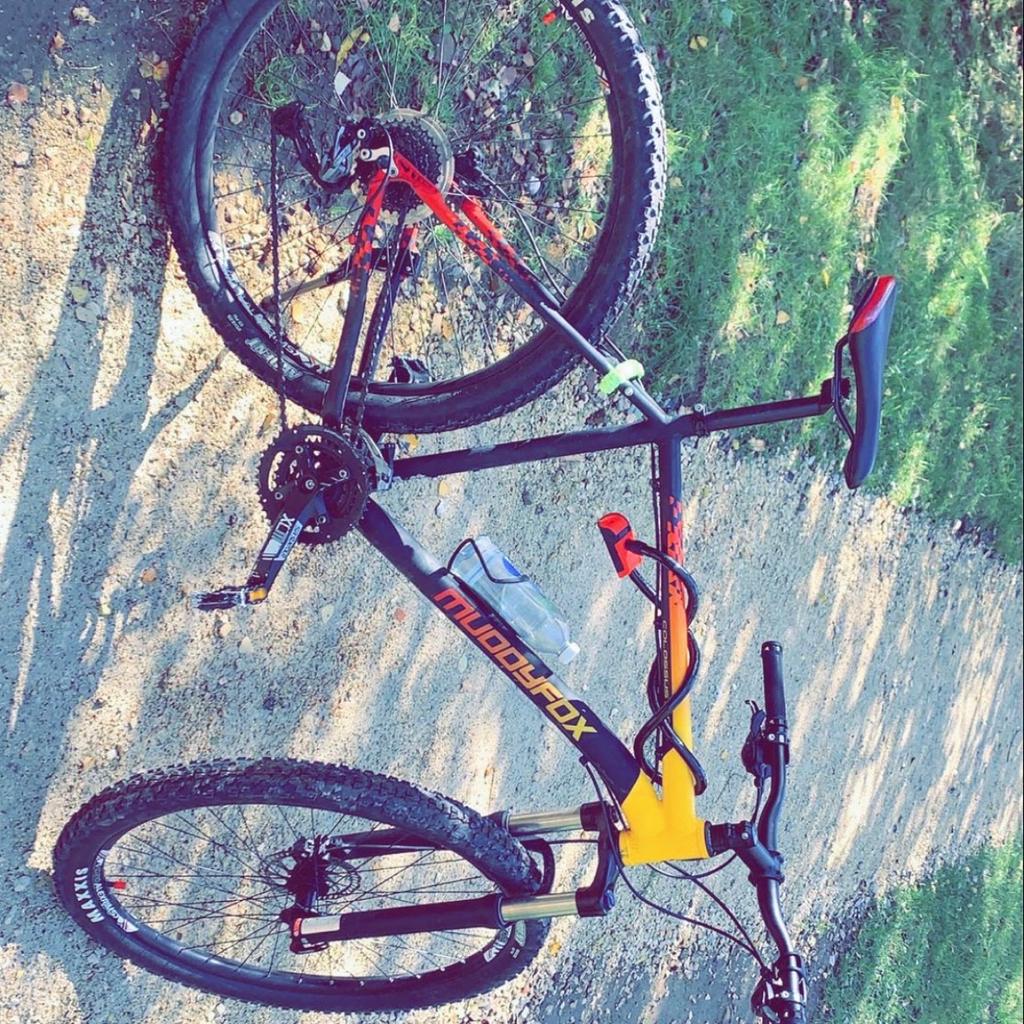 Mountain bike in S66 Maltby für 175,00 £ zum Verkauf | Shpock DE