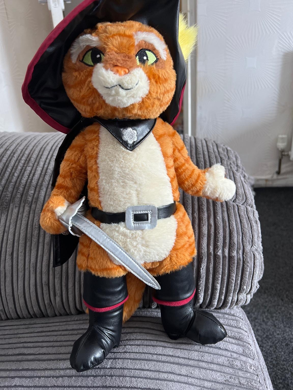 Shrek cat for sale in B18 Birmingham für 12,00 £ zum Verkauf | Shpock DE