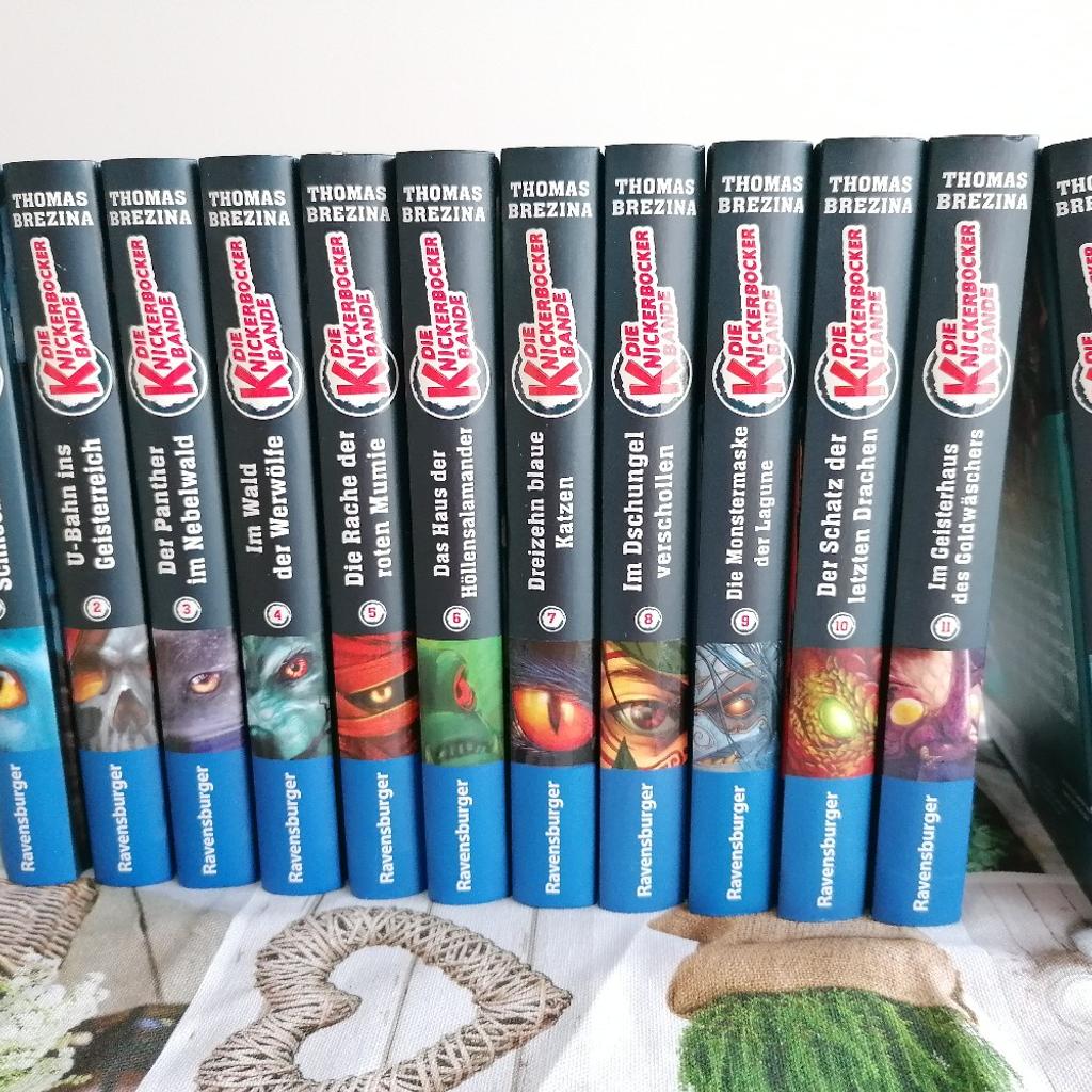 Die Knickerbocker Bande, Band 1-12 in 4210 Gallneukirchen für € 15,00 ...
