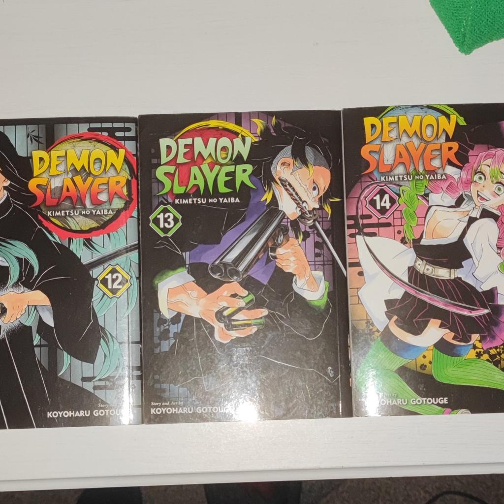Demon Slayer Books in B31 Birmingham für 12,00 £ zum Verkauf | Shpock DE